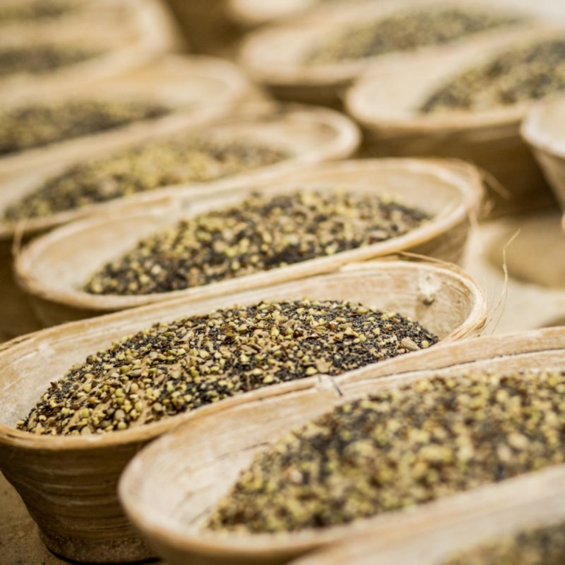 Kornsieger - Bio Bäckerei Back Bord